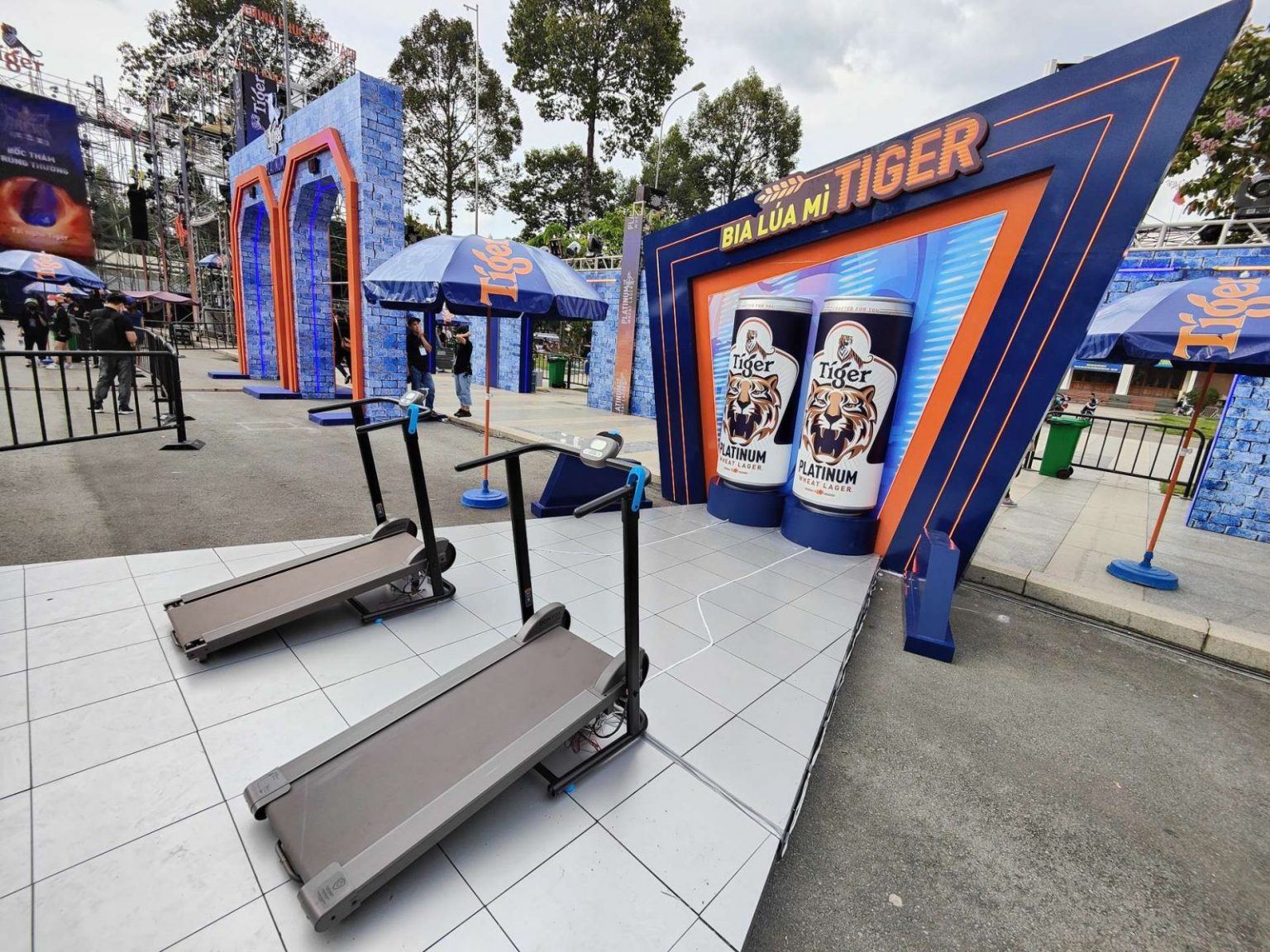 Hình ảnh Đấu Trường Bản Lĩnh Tiger Arena